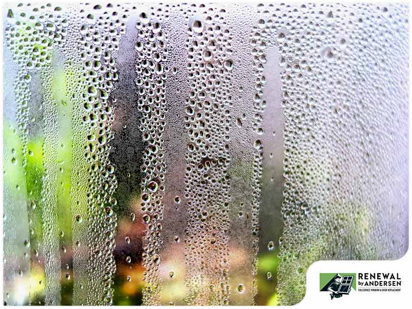 Why Do Windows Sweat in the Summer?